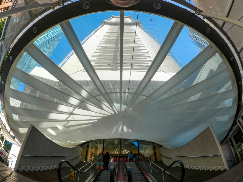 Custom Safety Netting Structure - Pattons